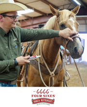 Brand Family – Shop 6666 Ranch