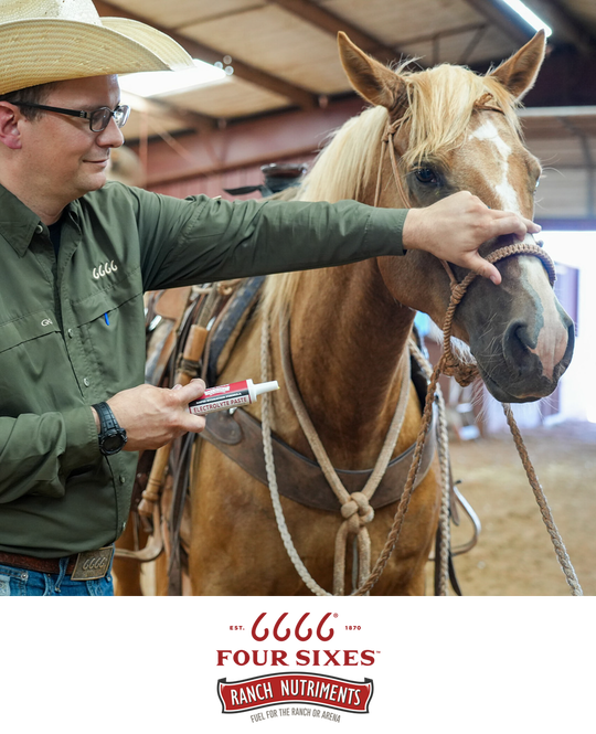 Brand Family – Shop 6666 Ranch